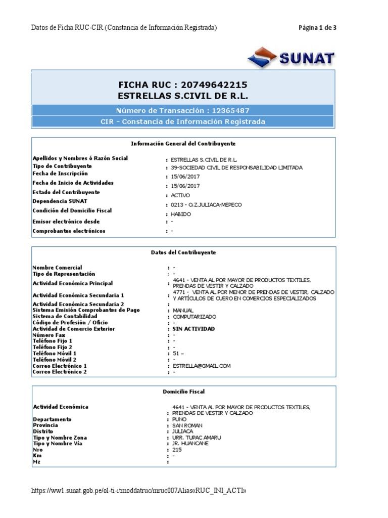 10.ficha Ruc | PDF | Economias | Business