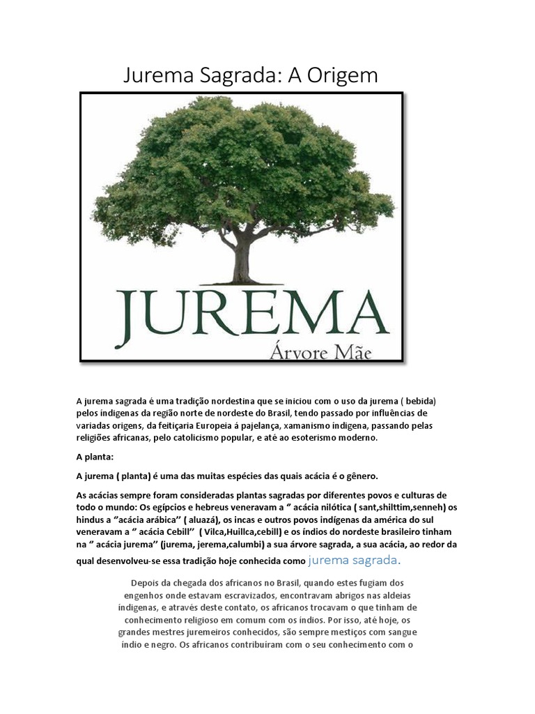 Jurema Sagrada PDF | PDF | Mediunidade | Xamanismo