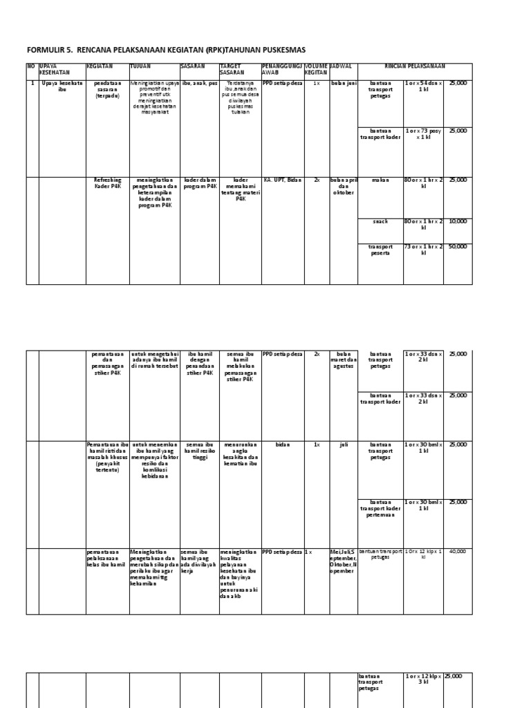 RPK Program Puskesmas | PDF