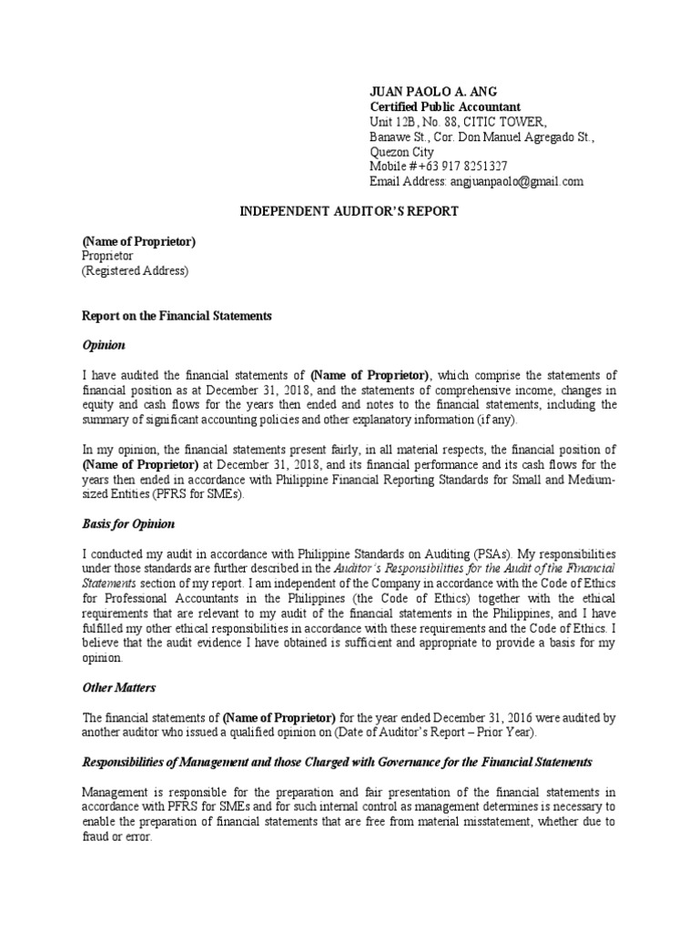 Auditor's Report - Sole Prop | PDF | Going Concern | Internal Control
