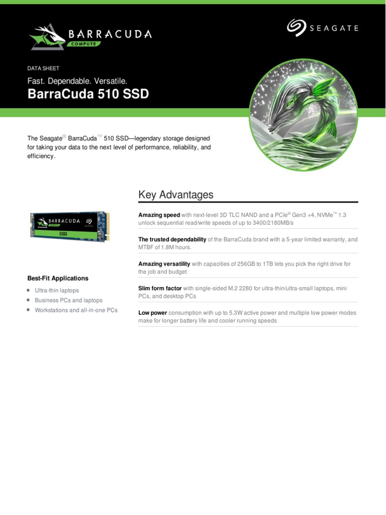 Barracuda 510 SSD DS2000 4 1909US en - US | PDF | Solid State Drive ...