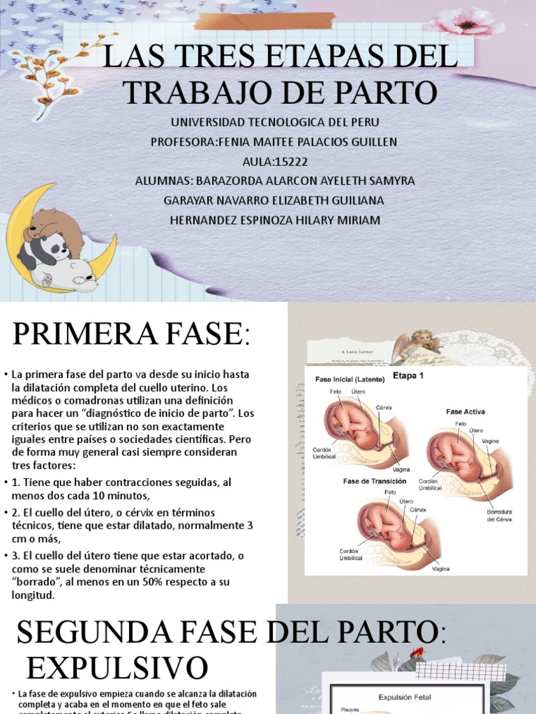 Las Tres Etapas Del Trabajo de Parto | PDF | Placenta | Parto