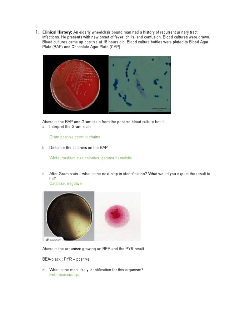 Micro Case Study 3 | PDF | Self-Improvement | Science & Mathematics