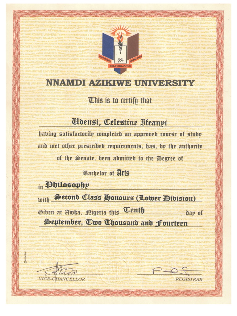 University Certificate | PDF