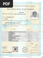 Declaration of Age | PDF