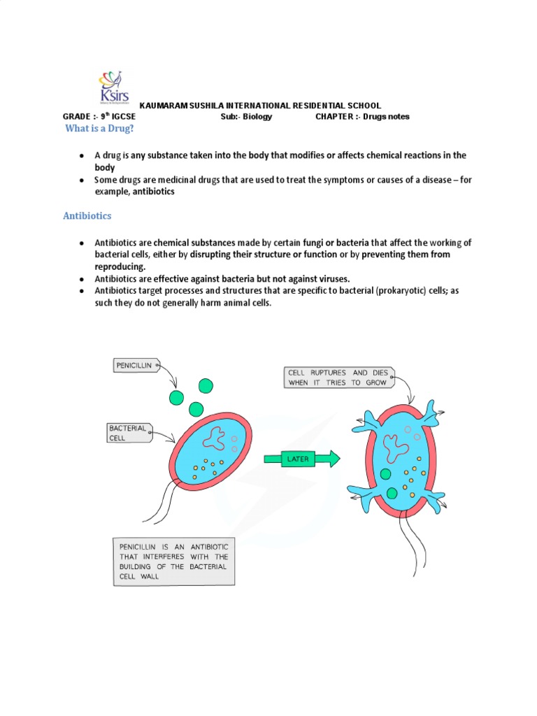 What Is A Drug?: Kaumaram Sushila International Residential School ...