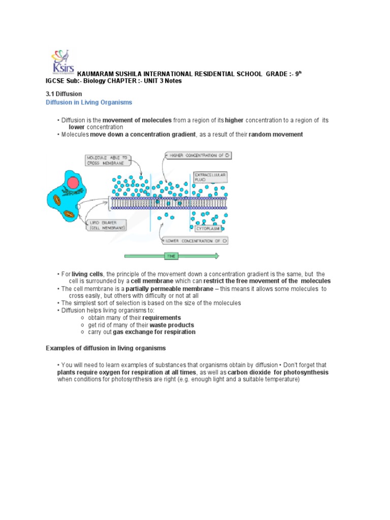 Chapter 3 | PDF | Osmosis | Diffusion