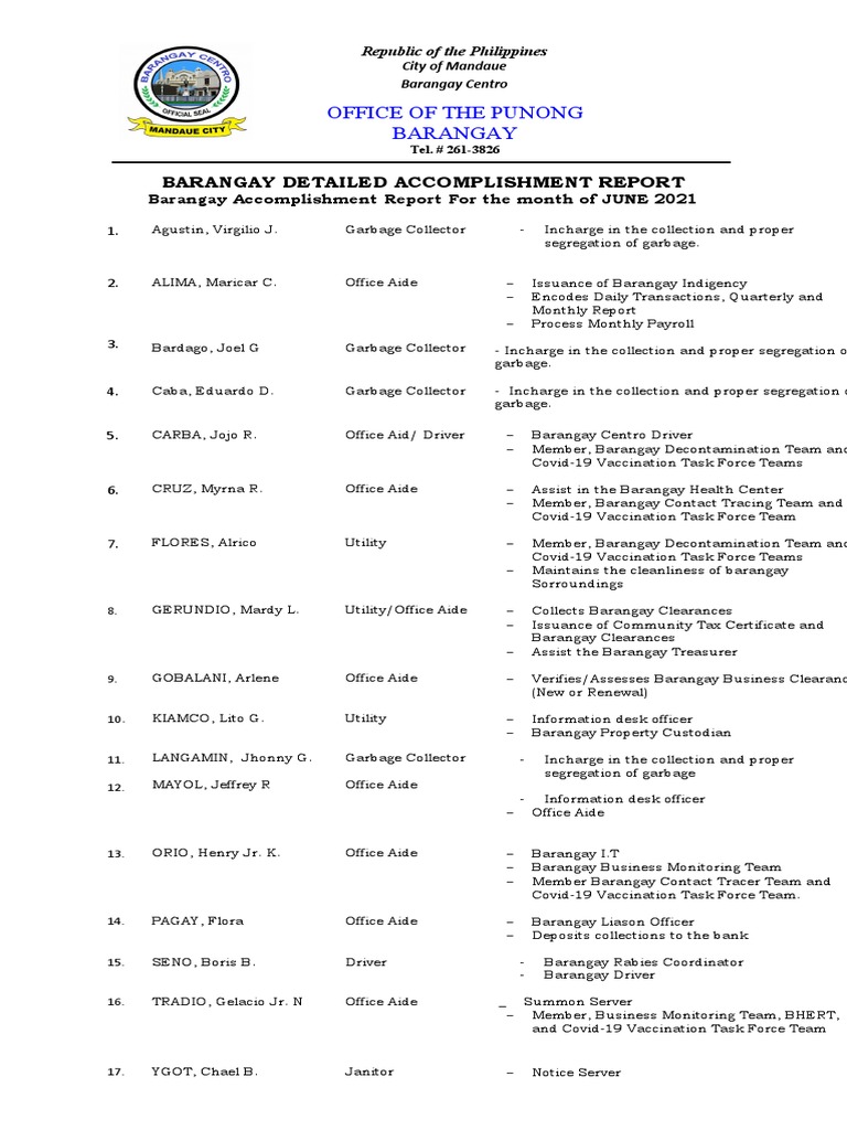 Barangay Detailed Accomplishment Report New LH | PDF | Wellness | Medical