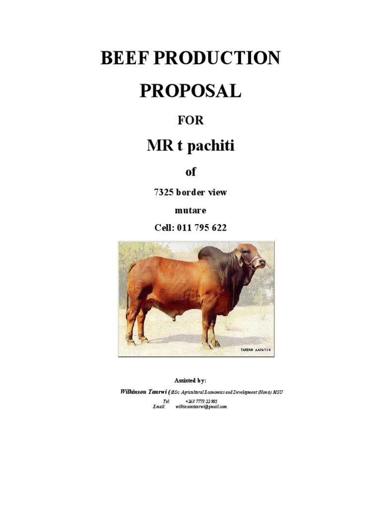 BEEF PROJECT PROPOSAL Mudede | PDF | Cattle | Farms