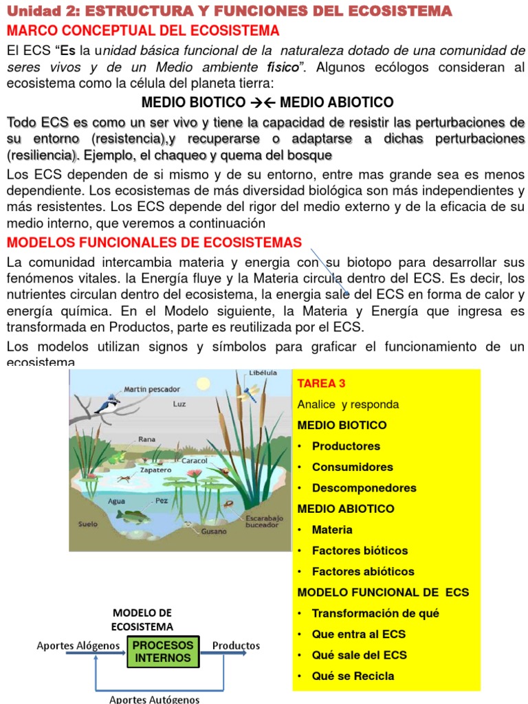 Ecologia Presentacion Del Avance Unidad 2 - Ecologia | PDF | Ecosistema | Desierto