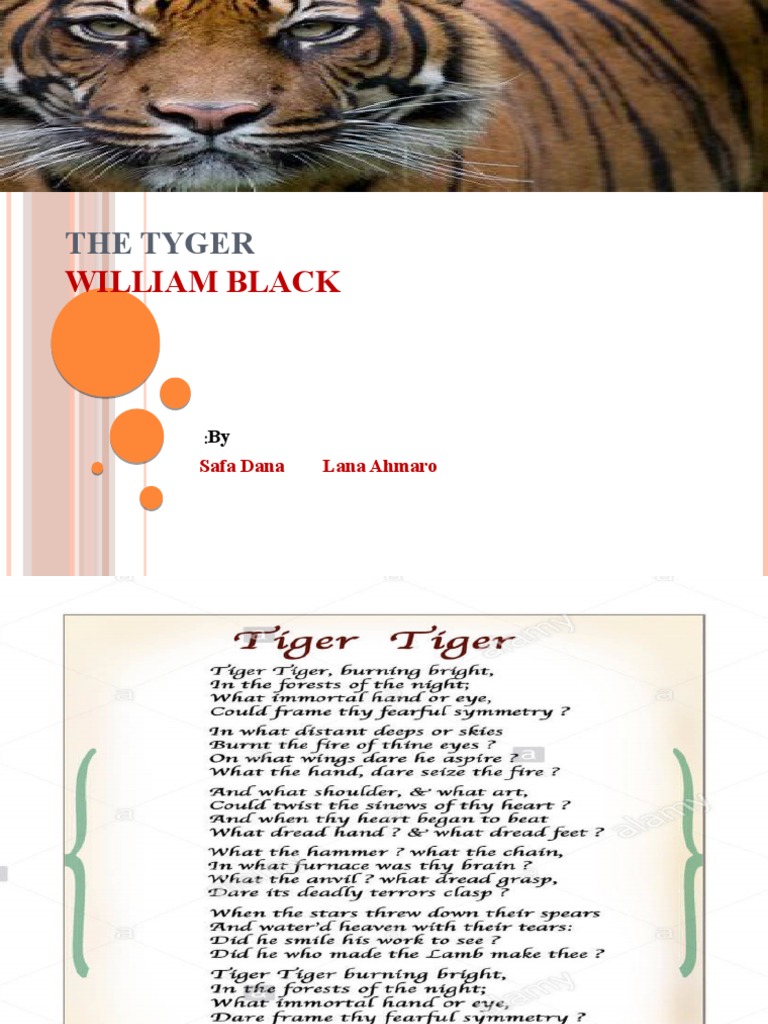 The Tyger: William Black | PDF | William Blake | Poetry