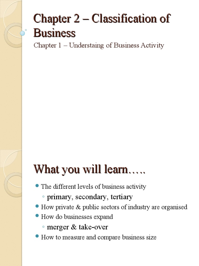 Classification and Organization of Business Activity | PDF ...
