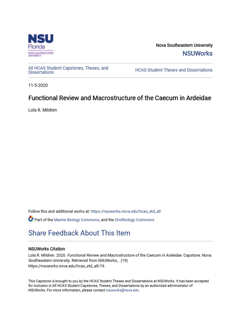 Functional Review and Macrostructure of The Caecum in Ardeidae | PDF ...