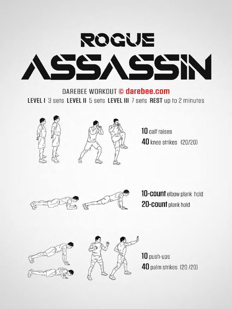 Rogue Assassin Workout | PDF