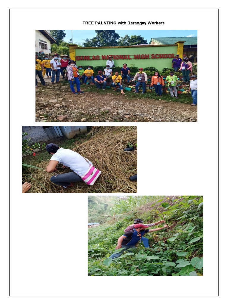 Barangay Tree Planting Accomplishments | PDF | Climate Change | Trees