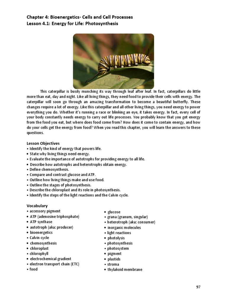 A. Chapter 4-Lesson 4.1-Energy For Life-Photosynthesis | PDF ...