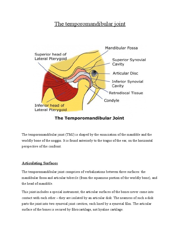 Section I #18 The Temporomandibular Joint | PDF | Musculoskeletal ...