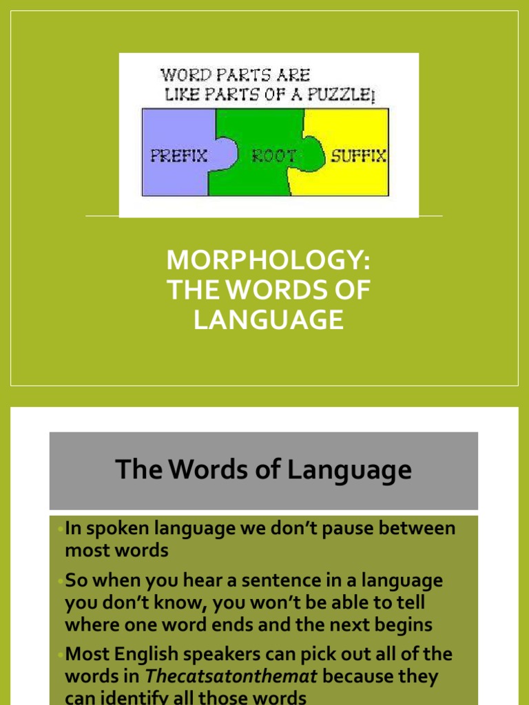 Morphology The Words of Language | PDF | Word | Morphology (Linguistics)