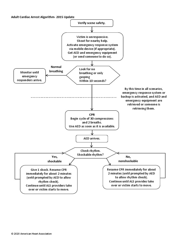 Adult Cardiac Arrest Algorithm | PDF | Cardiopulmonary Resuscitation ...