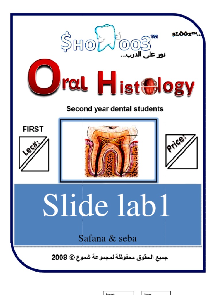 Slide Lab Slide Lab1 1: Saf Safana & Seba | PDF