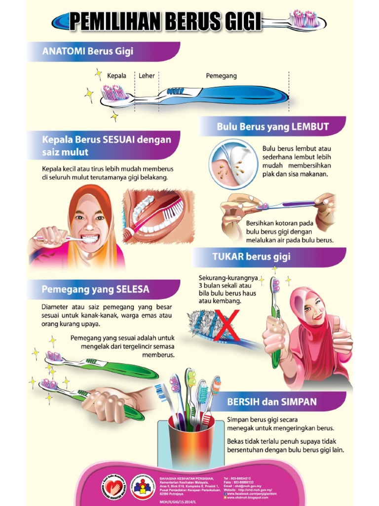 Pemilihan Berus Gigi | PDF