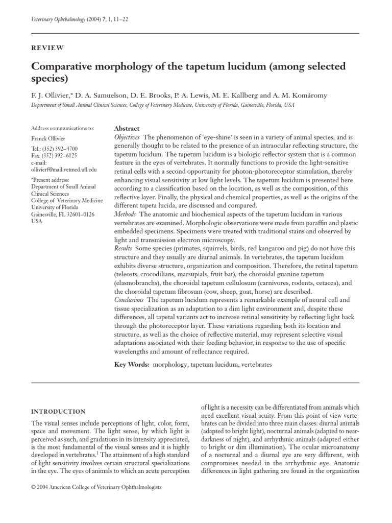 Comparative Morphology of The Tapetum Lucidum | PDF | Retina | Vision