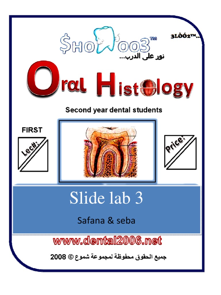 Slide Lab 3: Safana & Seba | PDF | Language Arts & Discipline