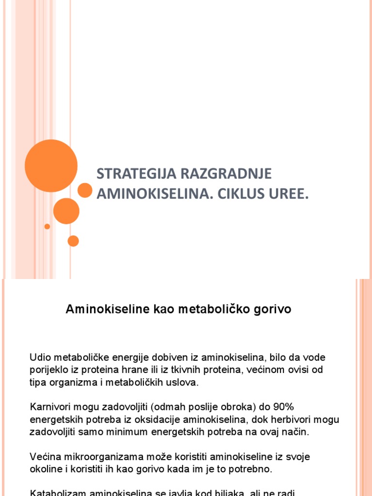 Strategija Razgradnje AK Ciklus Uree Bioh II | PDF