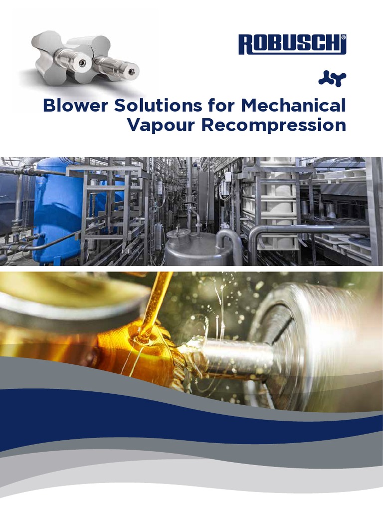 Robuschi Flyer MVR RBS-PRV Rbs-Steam s45-1d20-c Uk LR | PDF | Pressure ...