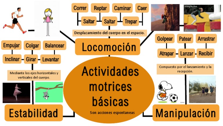 Habilidades Motrices Básicas | PDF