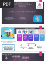 Mapa Conceptual Gasto Publico Hernan Colmenarez | PDF | Presupuesto | Economias