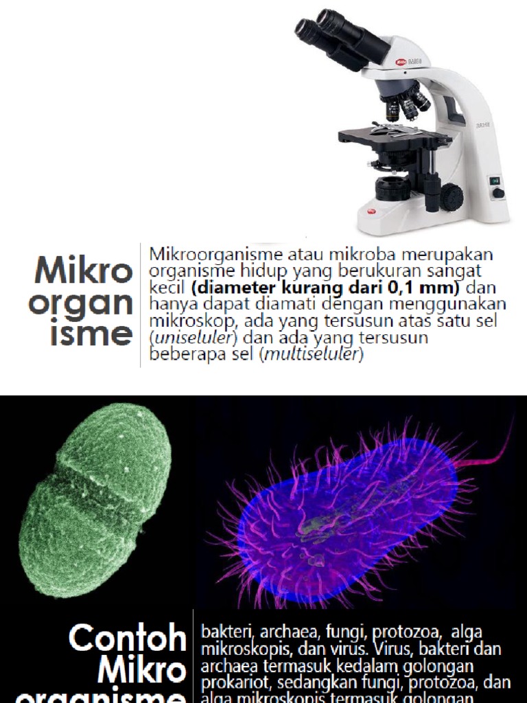 Materi Mikrobiologi Dasar 2020 | PDF