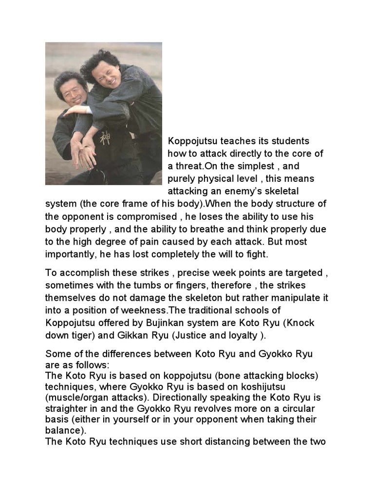 Koppojutsu Teaches Its Students How To Attack Directly To The Core of A ...