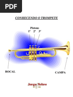 Escala Cromatica Con Posiciones para Trompeta PDF | PDF