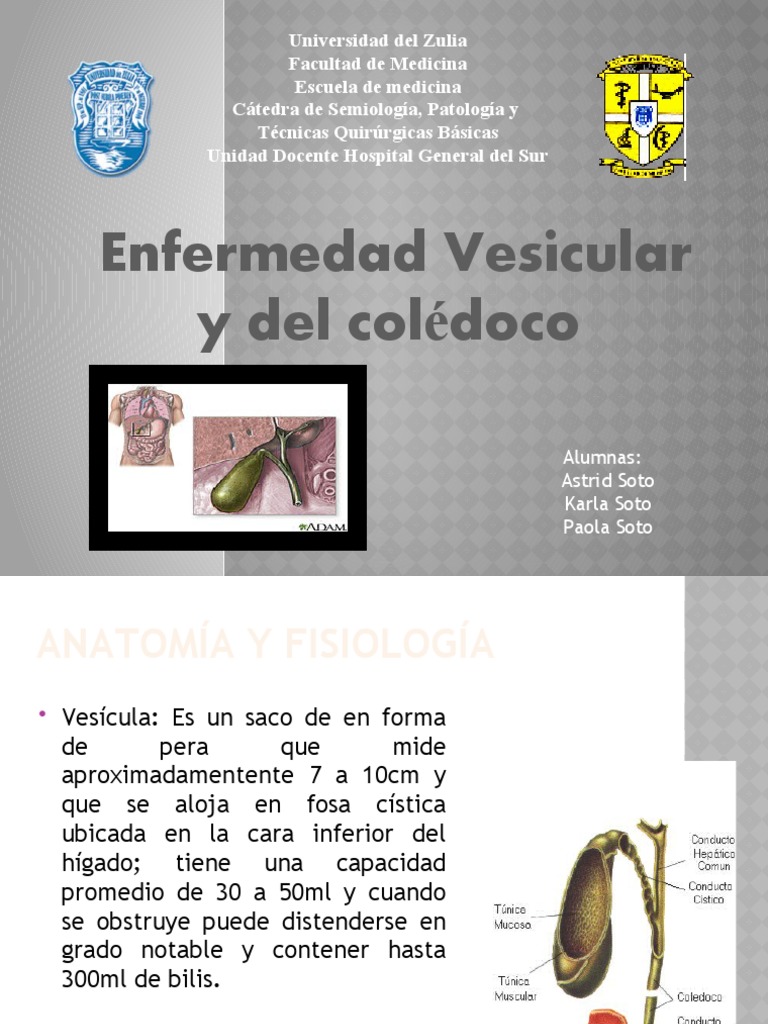 Enfermedad Vesicular y Del Colédoco | PDF | Vesícula biliar ...