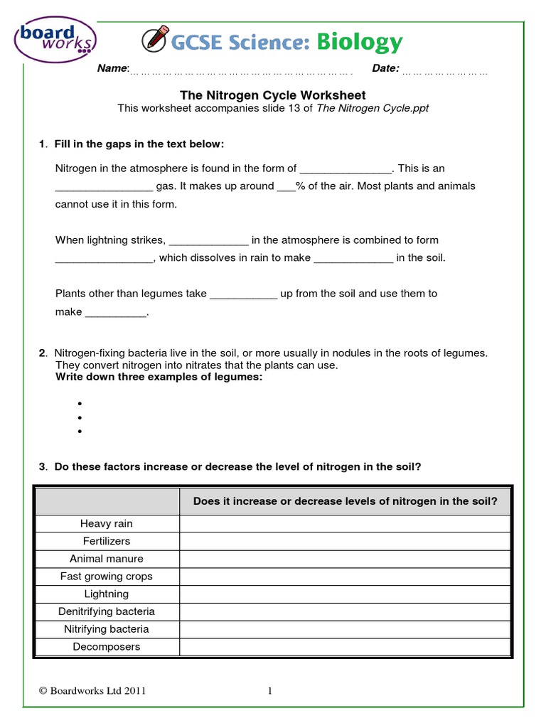 The Nitrogen Cycle Worksheet: Name: . Date | PDF | Home & Garden ...