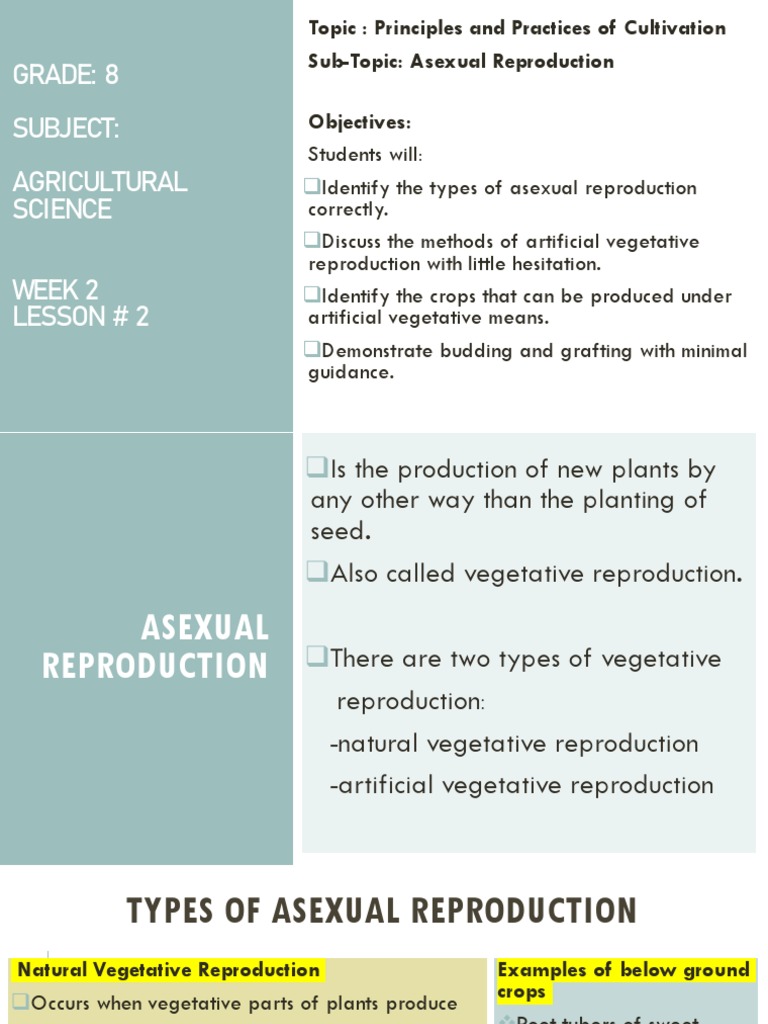 Grade 8 Agriculture Science Week 2 Lesson 2 | PDF | Grafting ...