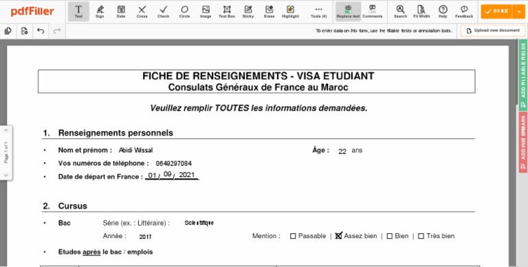 Fillable Form Instructions Guide | PDF