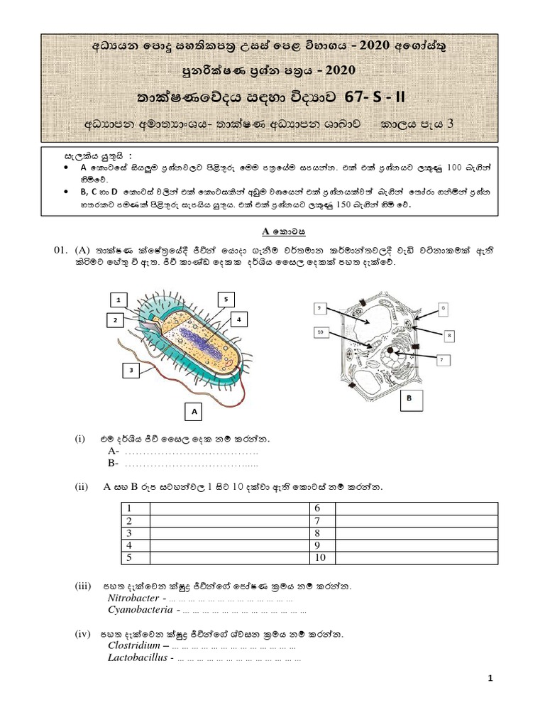 2020 SFT Model Paper Part II | PDF