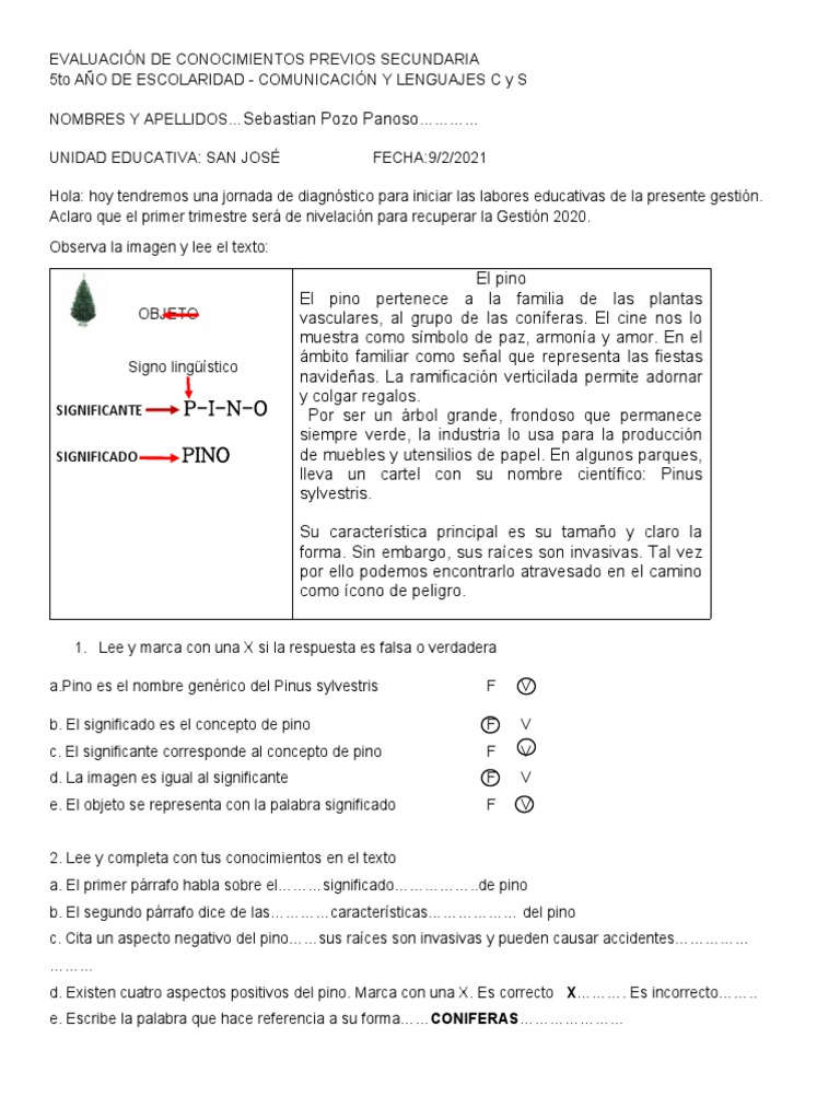 Eval de Conoc Previos Secun 5to | PDF | Ciencia cognitiva | Comunicación humana