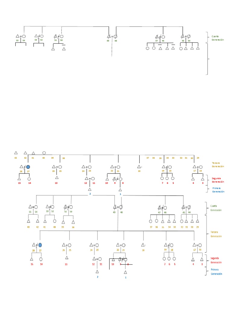 Diagrama Familia | PDF