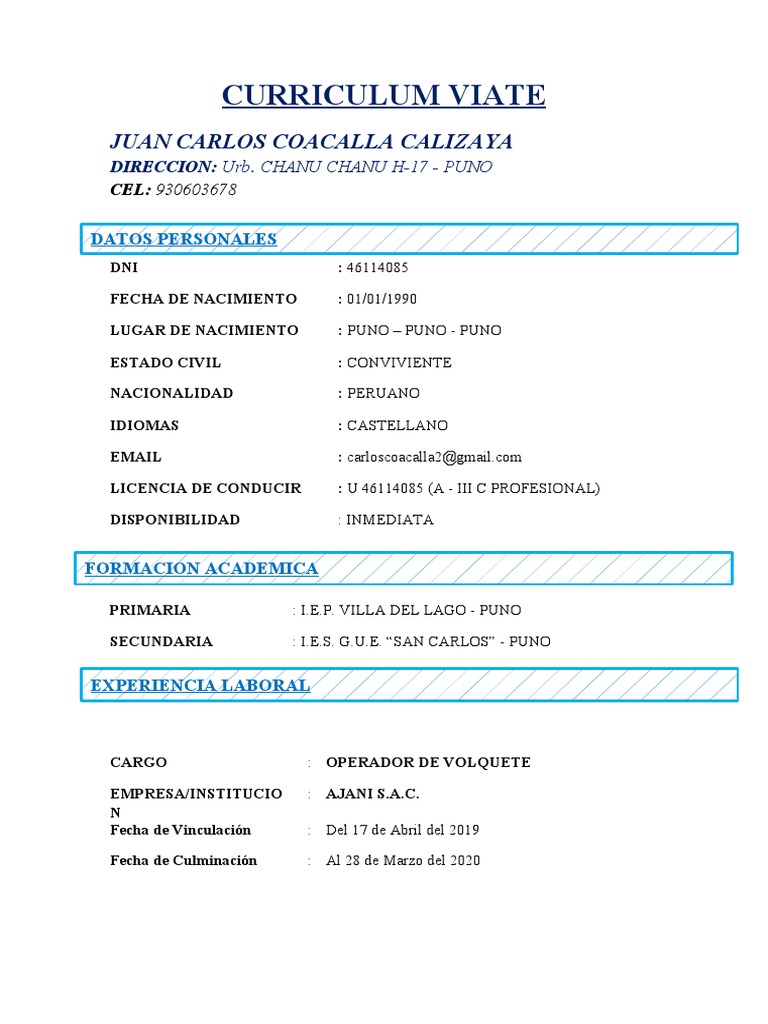 Curriculum Viate Modelo | PDF