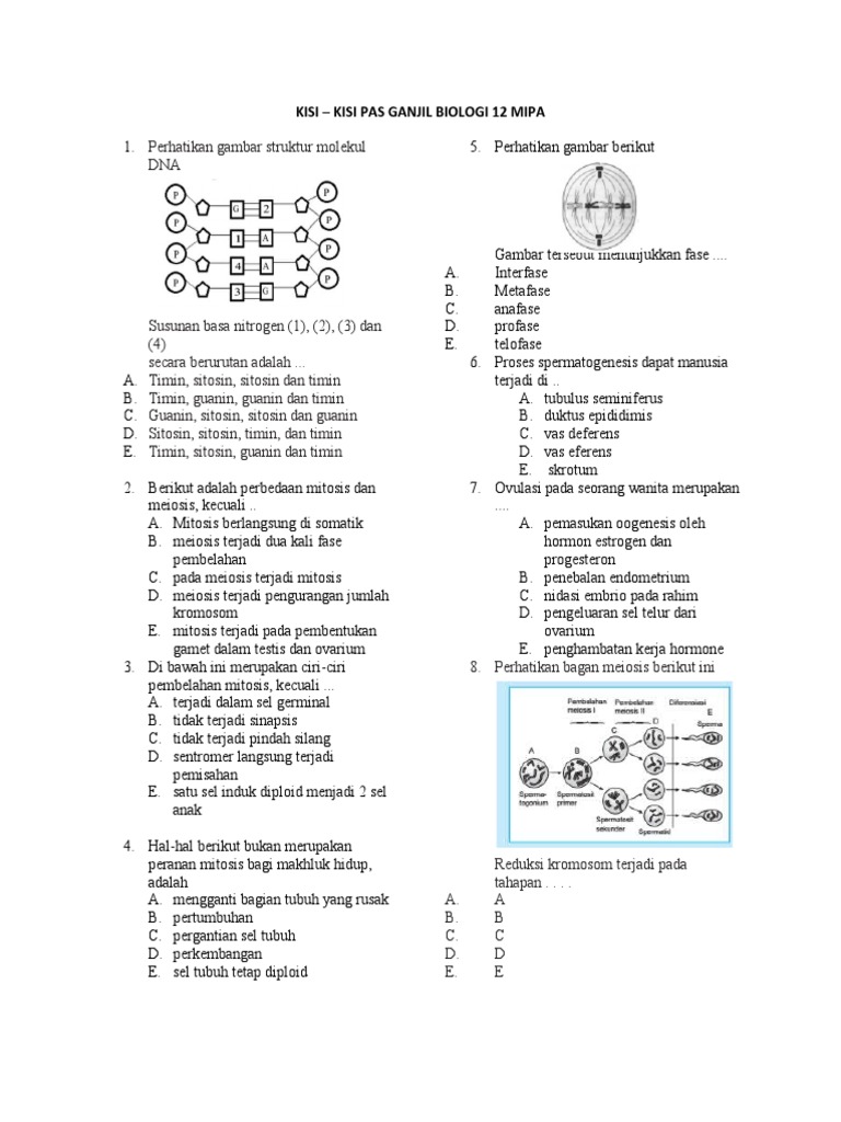 Kisi-Kisi Biologi Kelas 12 MIPA | PDF