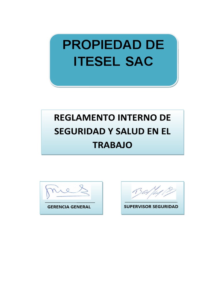 Riist Itesel | PDF | Seguridad | Empresas