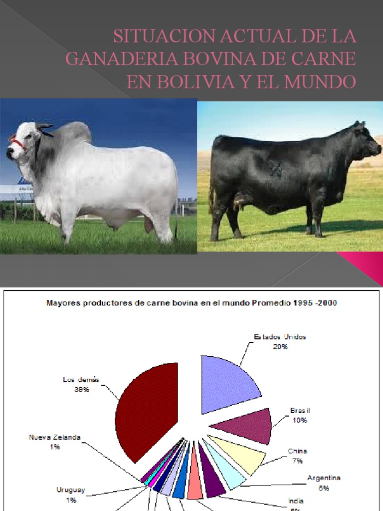 Unidad 1 Tema 1 La Ganaderia Bovina de Carne en Bolivia | PDF | Bolivia ...