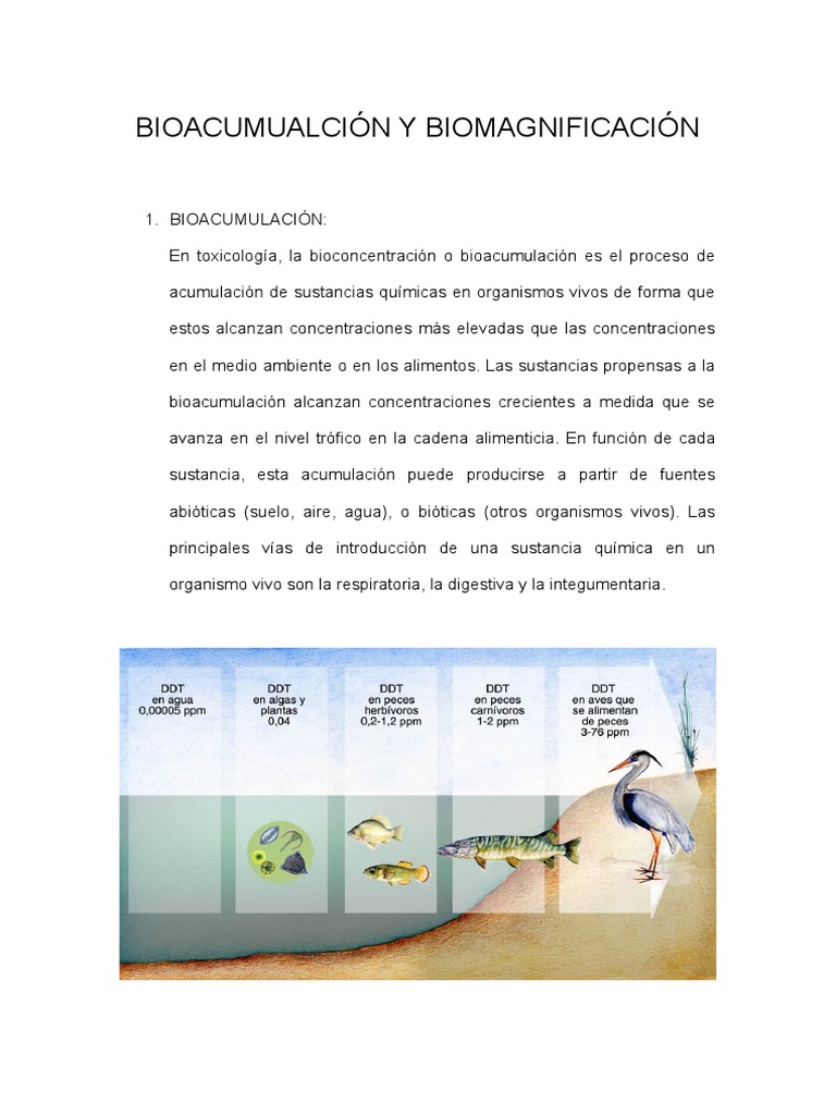 Bioacumulación y biomagnificación: procesos de acumulación de ...