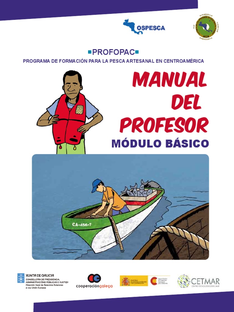 Manual Del Profesor. Modulo Basico | PDF | Combustión | Agente oxidante