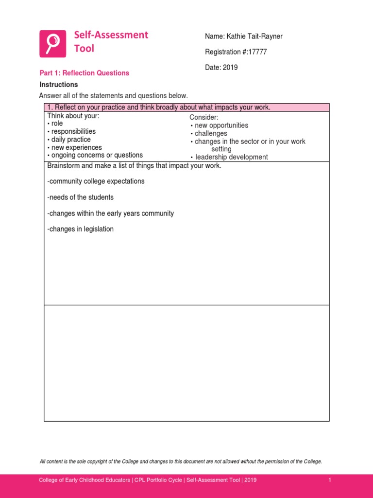 Self Assessment Tool 2019 | PDF | Early Childhood Education | Pedagogy