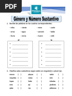 Ficha 4 Concordancia Género y Número | PDF | Adjetivo | Sustantivo