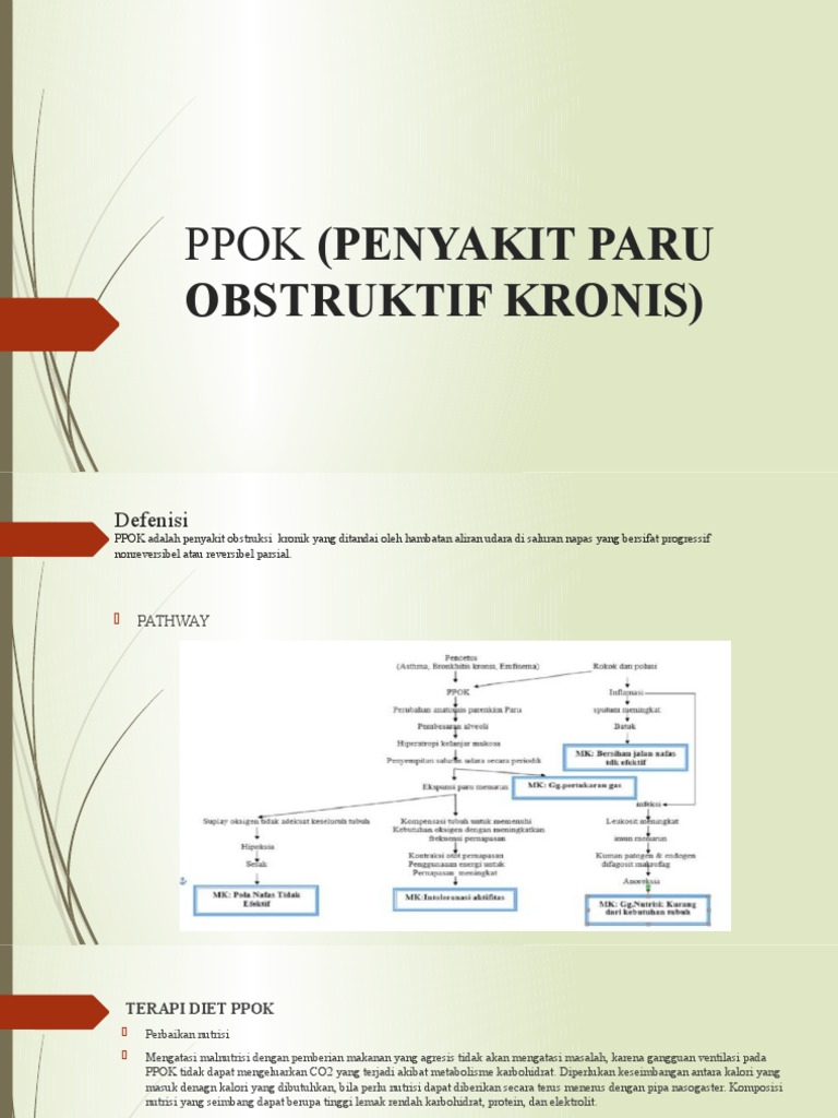 Ppok | PDF | Pengembangan Diri | Sains & Matematika